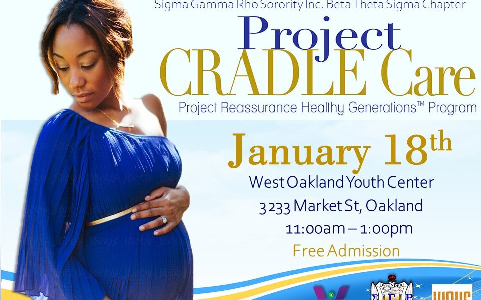 Sigma Gamma Rho Sorority Hosts Education Fair to Improve Black Maternal ...
