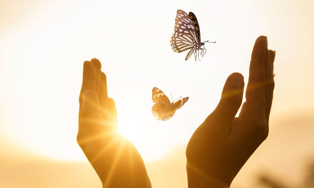 Invitation to Renew Your Inner Light at Richmond Remnant Revival on Feb ...