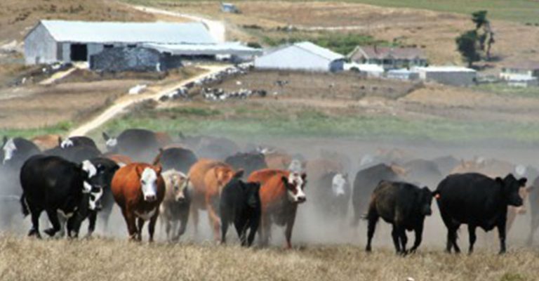 Emergency Federal Drought Relief Available | Post News Group