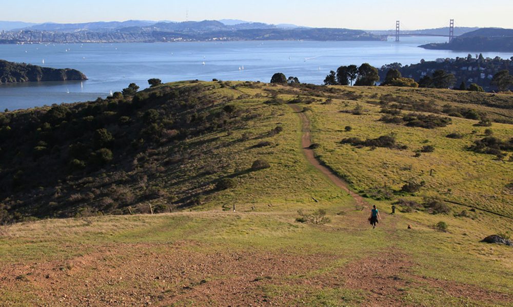 Parties Work to Preserve Tiburon Peninsula Land | Post News Group