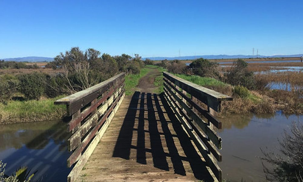 New Design Phase Planned for Levee Project | Post News Group