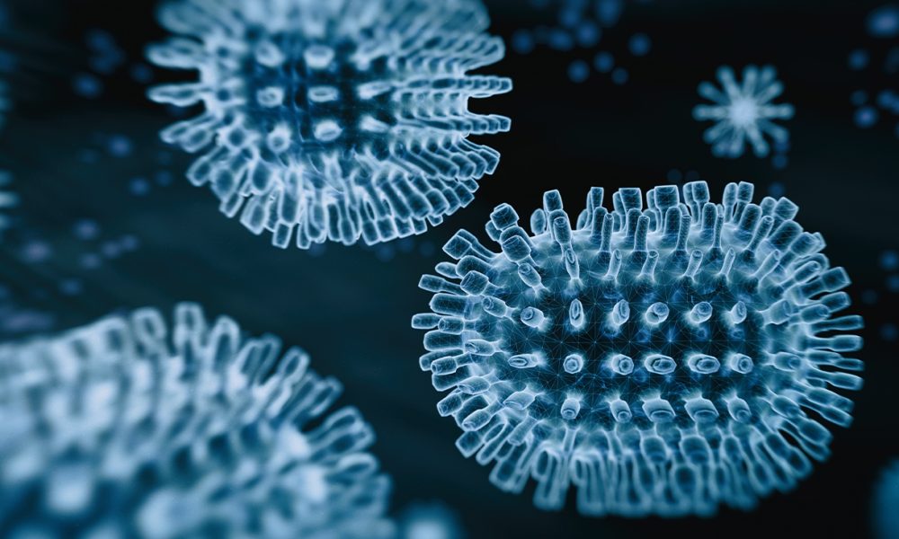 WHO wants name change for ‘Monkeypox’ virus, calling it ‘discriminatory ...