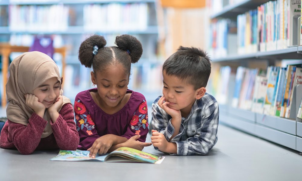 COMMENTARY: Why We Need Diverse Books in Schools | Post News Group