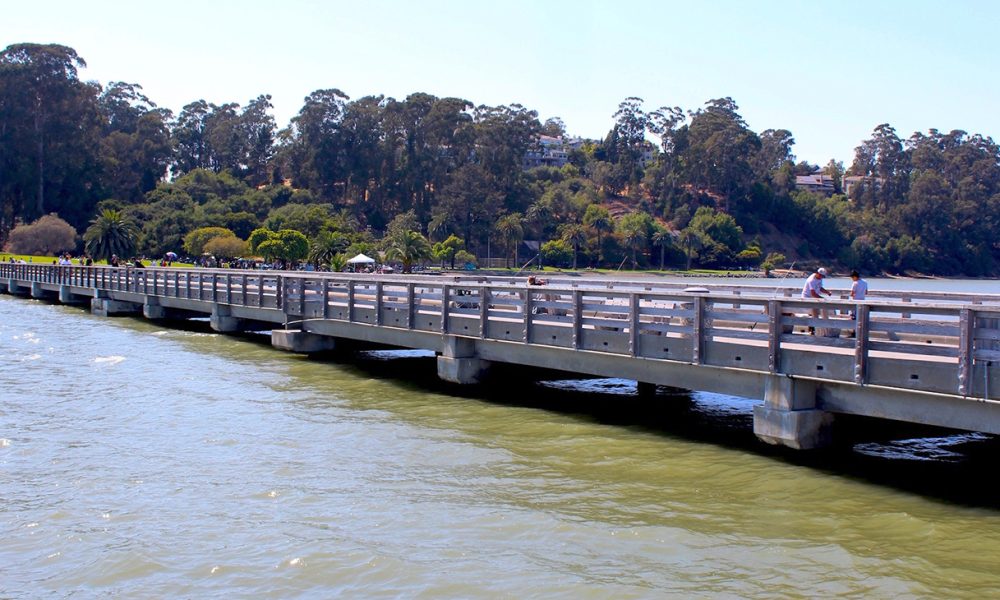 Repair Plans for Damaged McNears Pier Move Forward with Board of ...