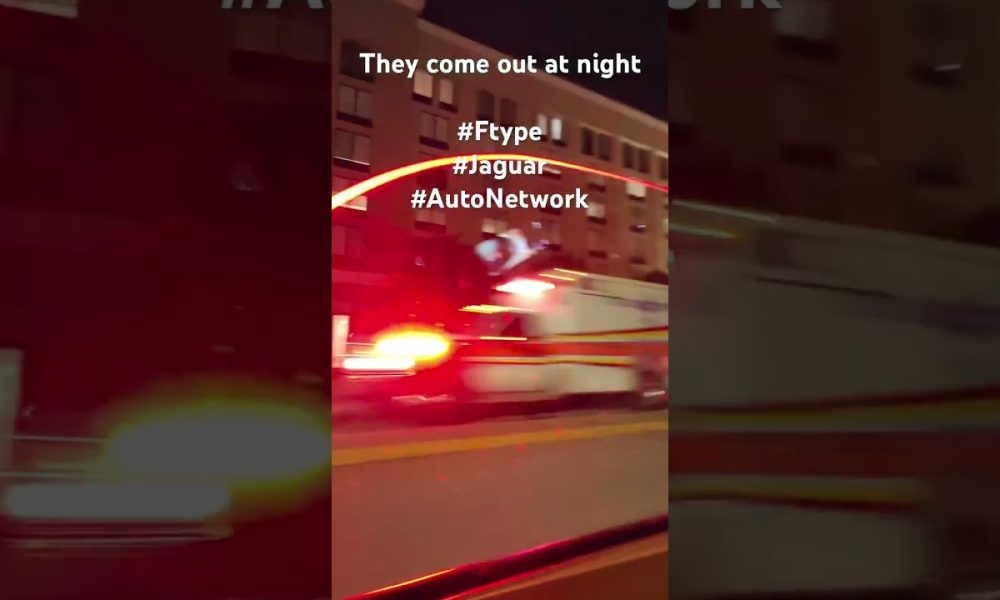Night Drive | Post News Group